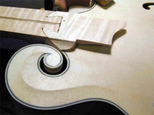 Cantilevered Fretboard?? - Hill Country Stringworks